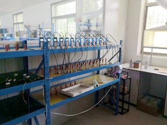 China Factory - HUATEC GROUP CORPORATION