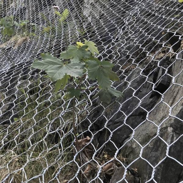 Quality Galfan Coated Alloy PVC Coated Gabion Box 2*1*1M Customized Size for sale