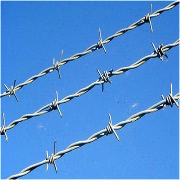 Quality Single Razor Barbed Wire Roll for sale