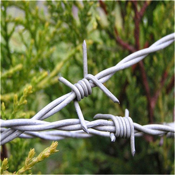 Quality Single Razor Barbed Wire Roll for sale