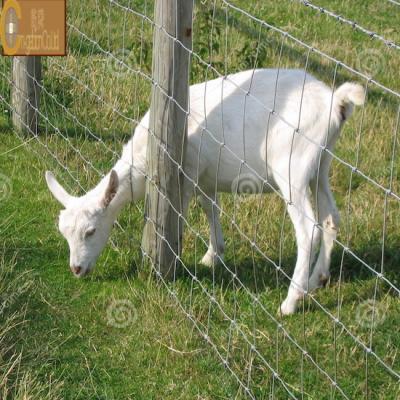 China Galvanized Hexagon Steel Wire Mesh for Poultry Chicken Cage for sale
