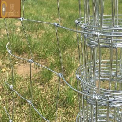 China Galvanized Hexagon Steel Wire Mesh for Poultry Chicken Cage for sale