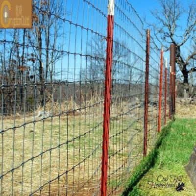China Galvanized Hexagon Steel Wire Mesh for Poultry Chicken Cage for sale