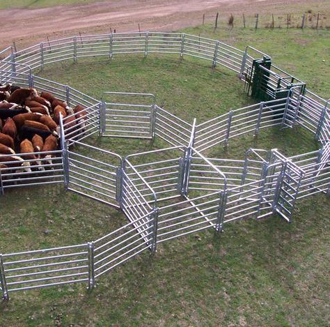 Quality Galvanized Metal Standard Cattle Fence Panels For Livestock Yards for sale