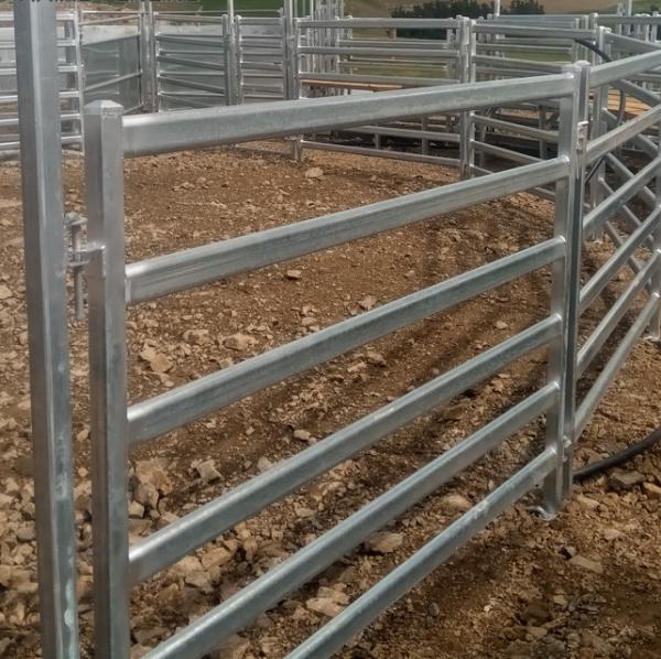 Quality Galvanized Metal Standard Cattle Fence Panels For Livestock Yards for sale