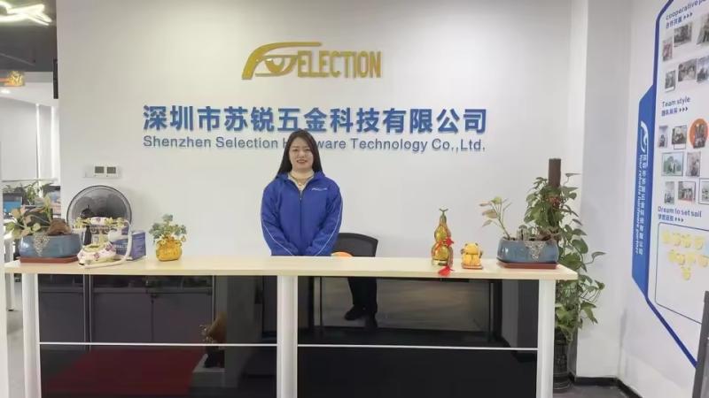 Proveedor verificado de China - ShenZhen Selection Hardware Technology Co.,Ltd.