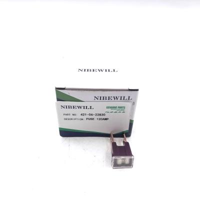 China 421-06-22830 OEM Quality Fuse for Komatsu Wa380-5h Wheel Loader Electrical Circuit Protection for sale