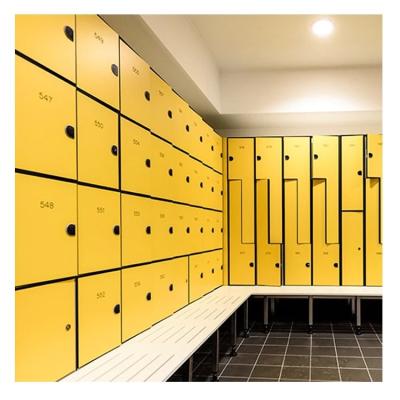 China Flat Pack Junior High Lockers Enclosed Outdoor Lockers For Schools for sale