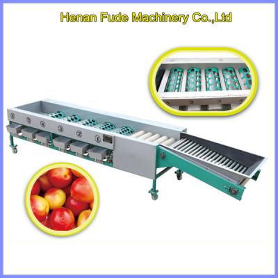China cherry tomato cleaning and sorting machine, cleaning grading machine for sale