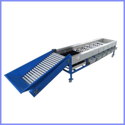 China apple polishing and sorting machine for sale
