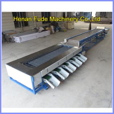 China dates sorting machine, dates grading machine for sale