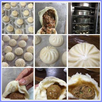 China soup dumpling making machine, steamed stuffed bun making machine for sale