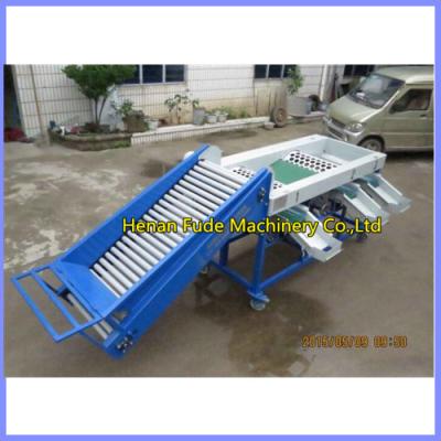 China garlic grading machine, garlic sorting machine for sale