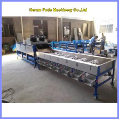 China lemon cleaning waxing and grading machine, lemon sorting machine for sale