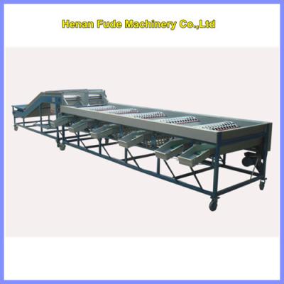 China Garlic grading machine, garlic sorting machine for sale