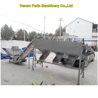 China garlic separating machine, garlic cloves sorting machine for sale