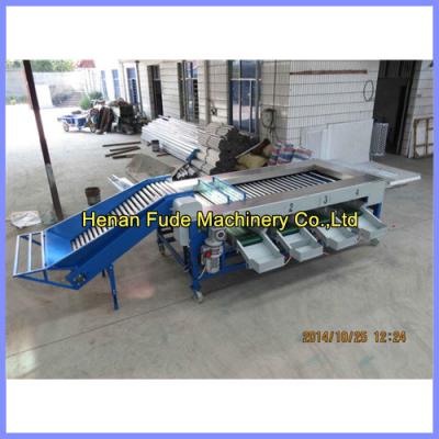China date sorting machine, dates grading machine for sale