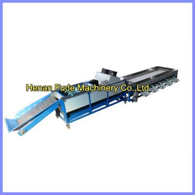 China Mangosteen cleaning sorting machine, mangosteen washing grading machine for sale