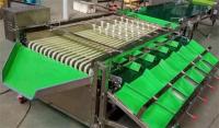 China olive sorting machine, cherry tomato grading machine, dates sorting machine for sale