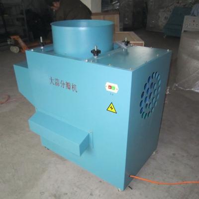 China garlic bulb into cloves machine, garlic bulb splitting machine, garlic separating machine FDGS-1000 for sale