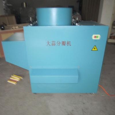 China garlic bulb into cloves machine, garlic bulb splitting machine, garlic separating machine FDGS-1000 for sale