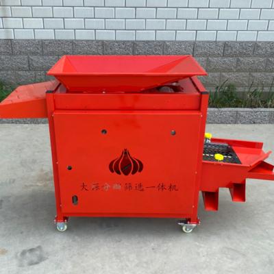 China garlic bulb  separating and grading  machine  ，garlic bulb into cloves and grading  integrated maching  RYFF-800 for sale