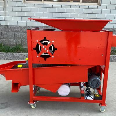 China garlic bulb  separating and grading  machine  ，garlic bulb into cloves and grading  integrated maching  RYFF-800 for sale