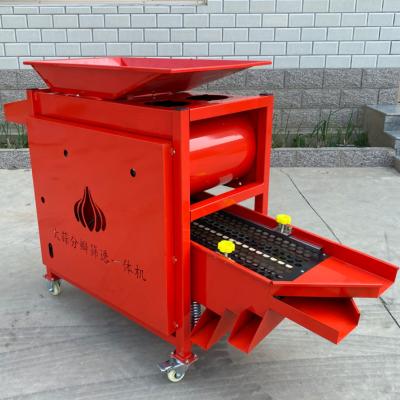 China garlic bulb  separating and grading  machine  ，garlic bulb into cloves and grading  integrated maching  RYFF-800 for sale