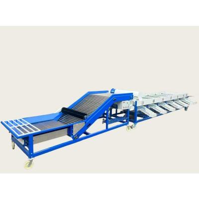 China garlic sorting machine, garlic grading machine, garlic bulb sorter machine for sale