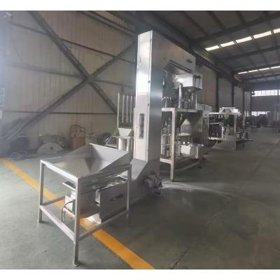 China automatic peanut coating machine, flour coated peanut machine, japanese bean coating machine for sale