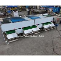 China Olive sorting machine, olive grading machine, olive classification machine for sale
