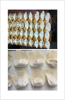 China Dumpling making machine,ravioli machine,wonton making machine for sale