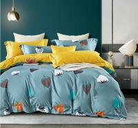 China 100% Cotton 4 Piece Bedding Set Queen Size OEKO TEX Certified Luxury Duvet Cover for sale