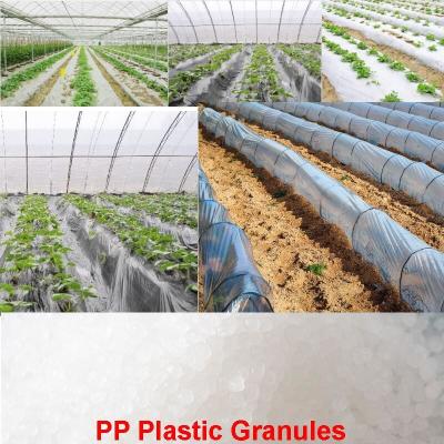 Cina SGS di plastica delle palline del polipropilene di plastica dei granelli del film pp di agricoltura in vendita