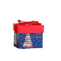 China Christmas Innovative Biodegradable Packaging Holiday Gift Packaging for sale