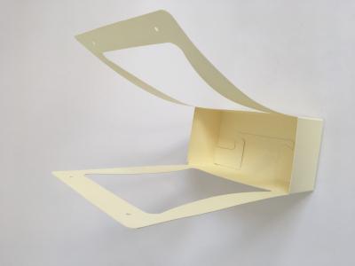 China Cardboard Paper Floral Packaging Boxes Bouquet Packaging Boxes Bio-Degradable for sale