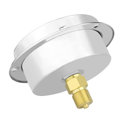 China 100mm Nominal Diameter YE100ZT Hydraulic Oil Capsule Pressure Gauge with CE Certification for sale
