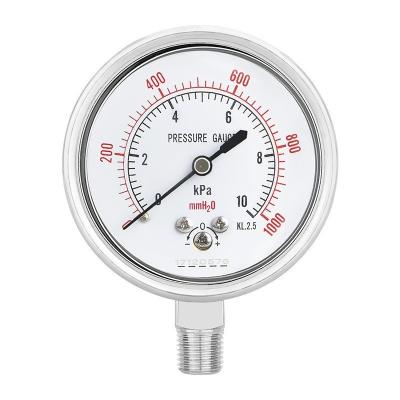 China Customized 304ss High Temperature Resistant Natural Gas Pressure Gauge for Industrial for sale