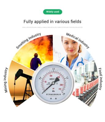 Cina 100 mm 1,6% Massimetro ad alta precisione ad olio assiale per personalizzazione OEM in vendita