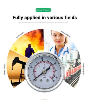 China Produced 400bar Small Axial Manometer for Durable Hydraulic Pressure Measurement Te koop