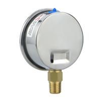 China 1/4 Threaded Connection 60mm Surface Diameter Precision Pressure Gauge for 250 Range for sale