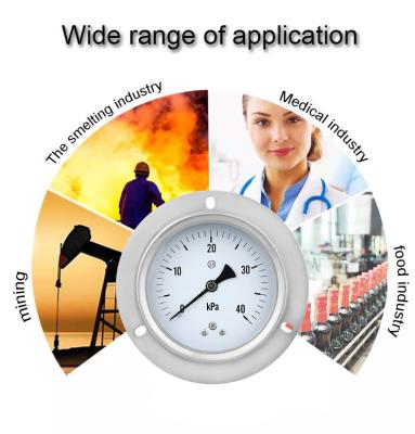 China 100mm 304ss roestvrij staal diafragma capsule micro manometer brandstofdrukmeter voor OEM Te koop
