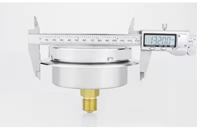 China 4 Inches Panel Axial Capsule Air Pressure Gauge for Mechanical Gas Pressure Measurement for sale
