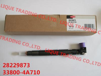 China DELPHI Common rail injector 28229873 for HYUNDA KIA 33800-4A710 / 338004A710 for sale