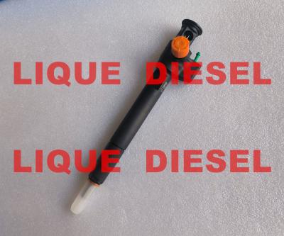 China DELPHI Common Rail Injector 28602948 ,  9674984080 , 28388960 , 28319895 fuel injector for sale