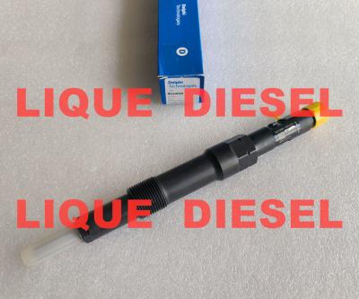 China DELPHI Fuel injector R00401Z R01001D EJDR00401Z EJDR01001D for sale