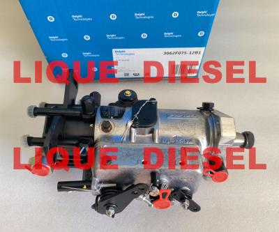China Genuine Fuel Pump 3062F075 3062F075-12B1 V3062F075W-2 03817LTB 3062F071 for sale