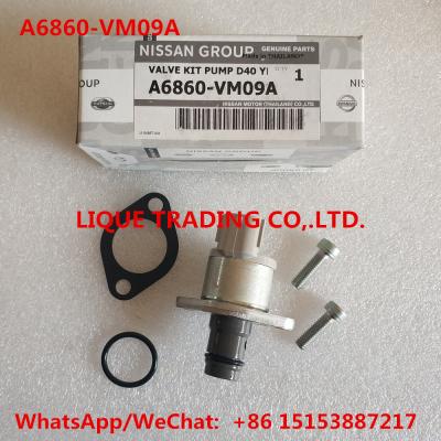 China NISSAN Overhaul kits A6860-VM09A  , A6860VM09A  ,  A6860 VM09A = 1460A037  include valve 294200-0360 for sale