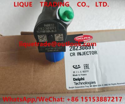 China DELPHI Common Rail Injector 28230891 , A6510701387  Fuel Injector 6510701387 for sale