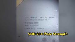 254 SMO Plate S31254 F44 Stainless Steel High Performance